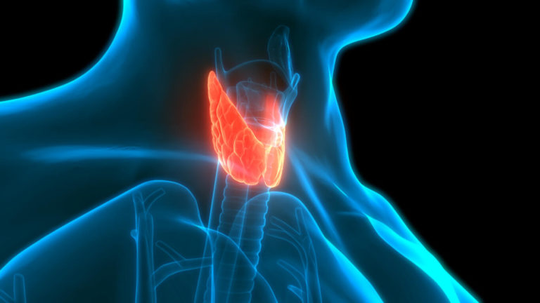 Partial & Complete Thyroid Removal Surgeries In Mesa, AZ